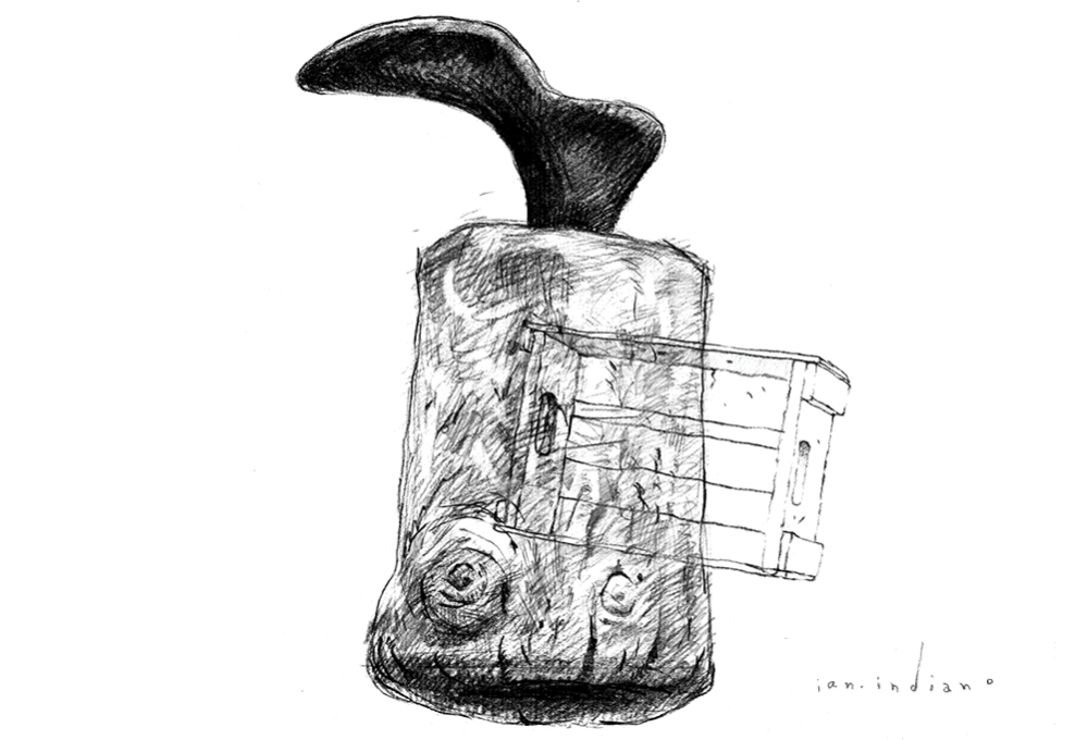 Drawing from the Vault: Still Life Sessions | Museum London