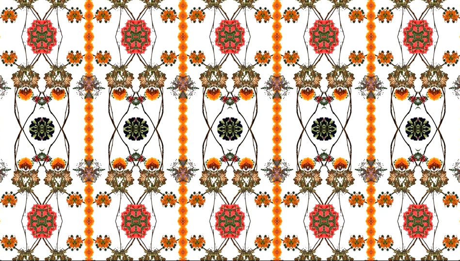 Ed Pien, "Wallpaper" | Museum London